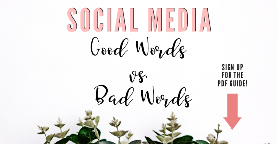Good Words / Bad Words