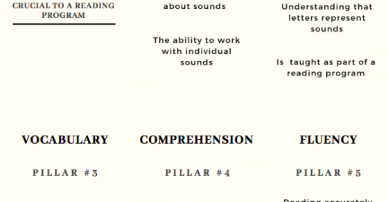5 PILLARS OF READING