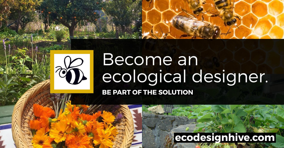 Welcome to the Eco Design Hive