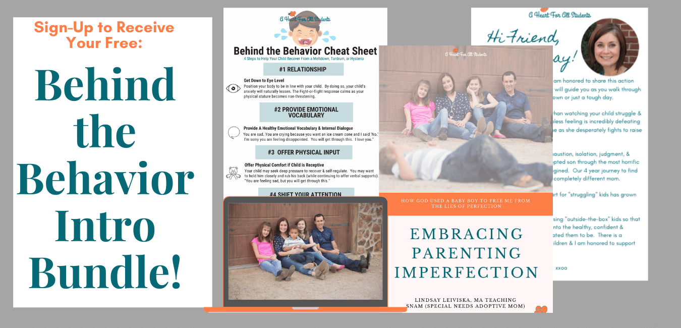 Zones of Regulation - A Heart For All Students
