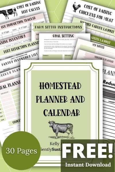 Free homestead planner