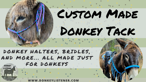Donkey Training and Custom Donkey Track