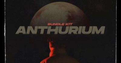 prodllb - Anthurium Bundle Kit