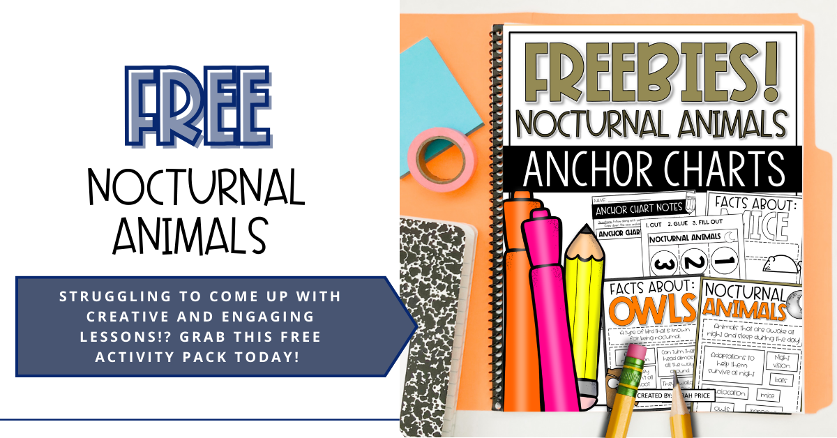 Free Nocturnal Animals Anchor Charts
