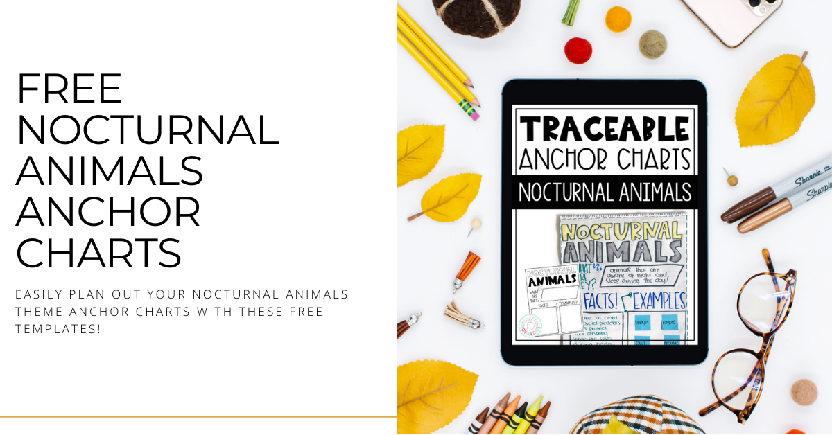 Free Nocturnal Animals Anchor Charts