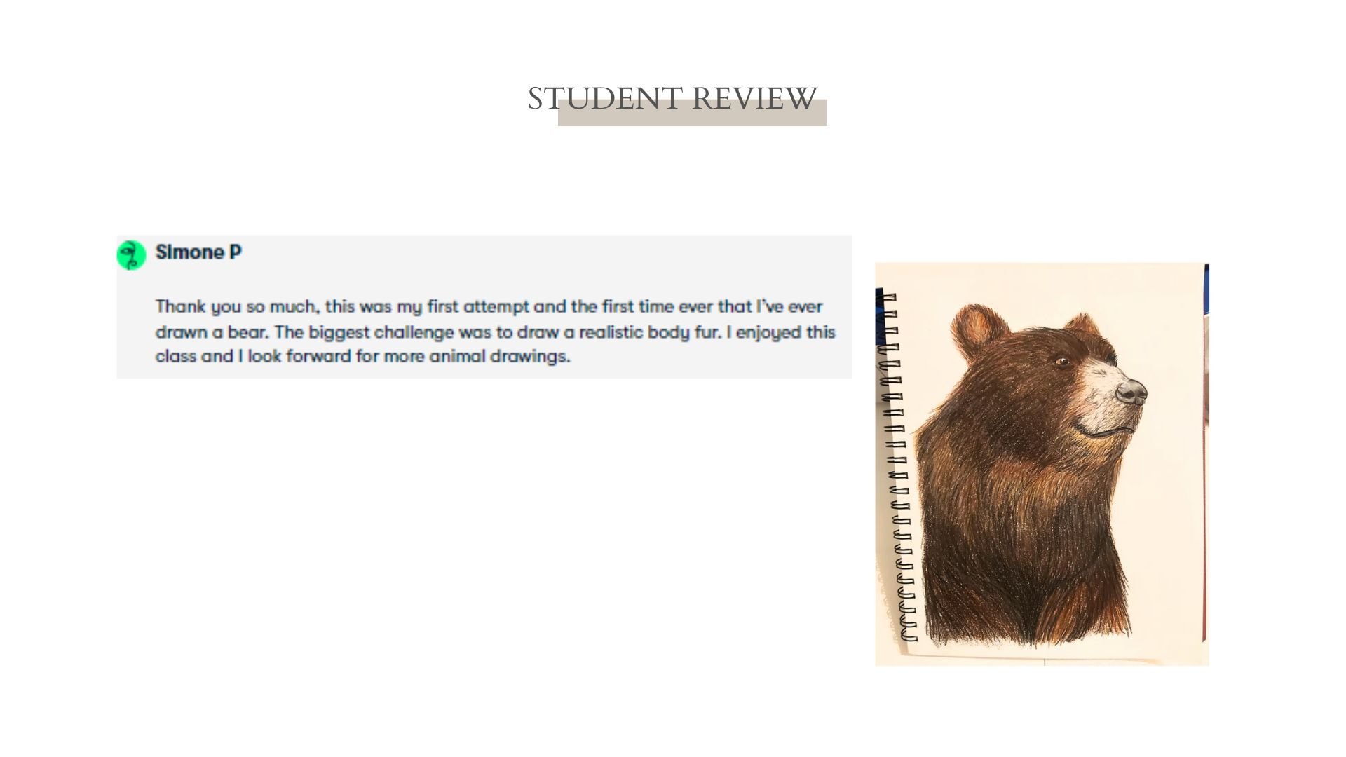 Colored Pencil 8 week program