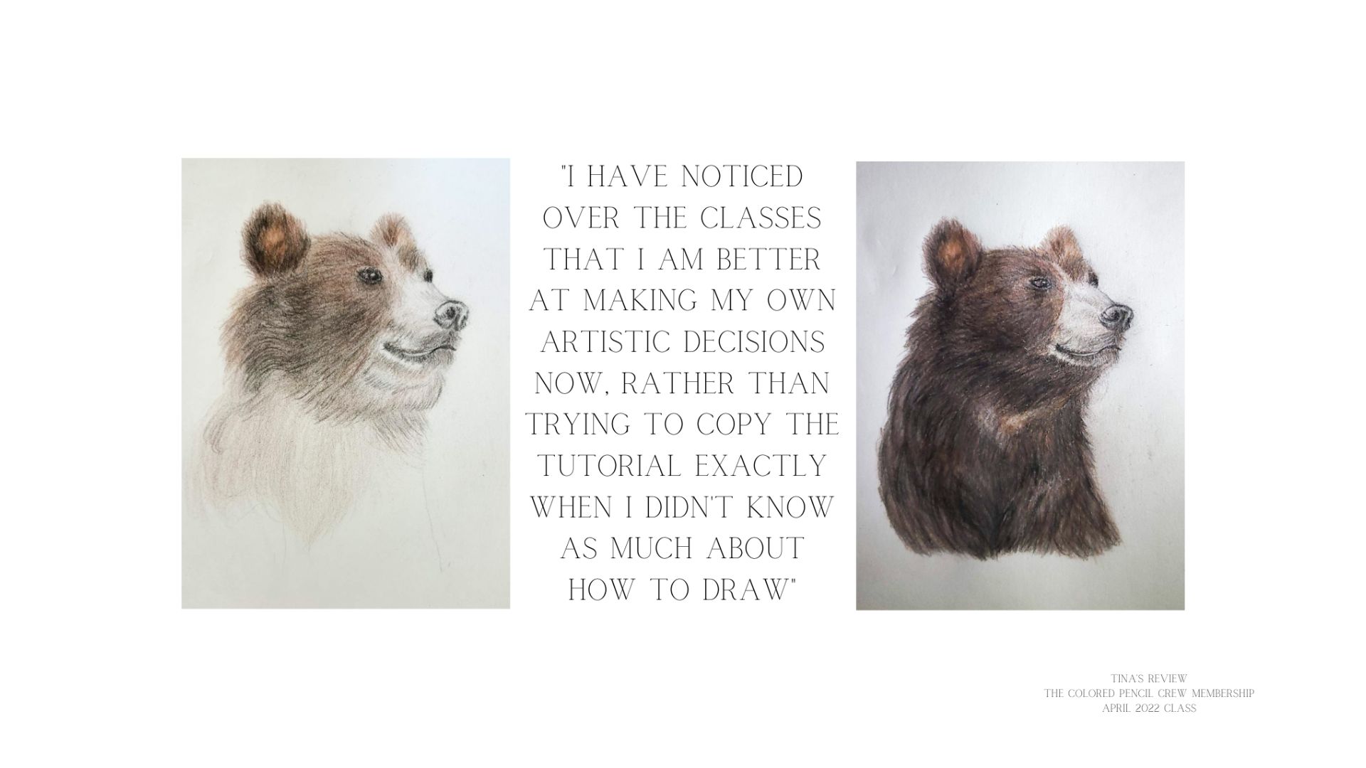 Colored Pencil 8 week program