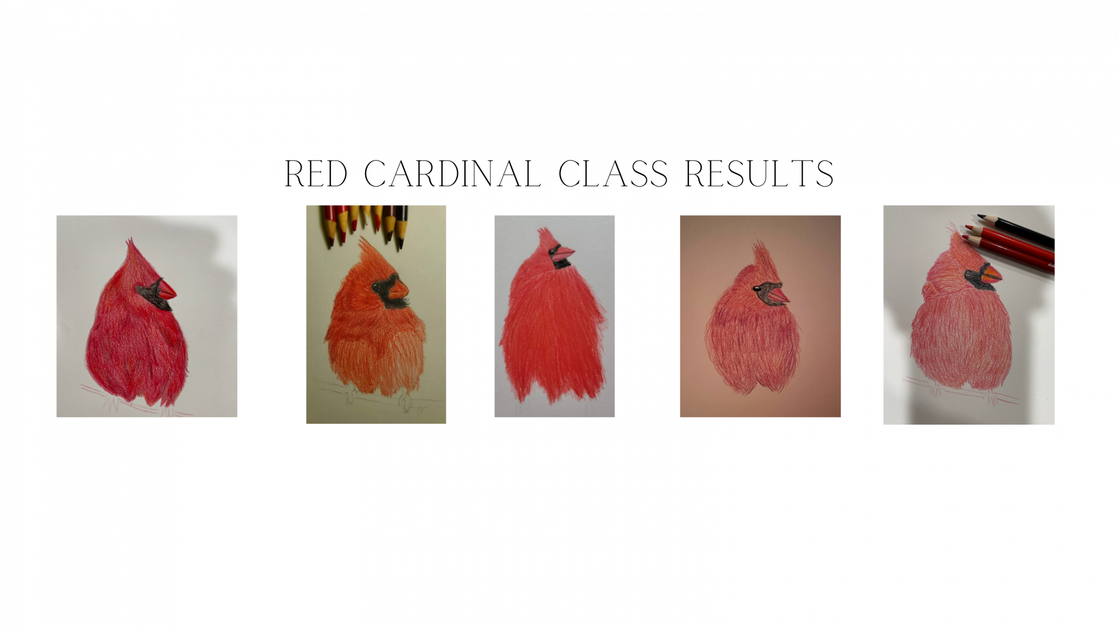 Colored Pencil 8 week program
