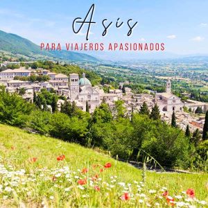 Guia Gratis de Asis- Sensi in Viaggio