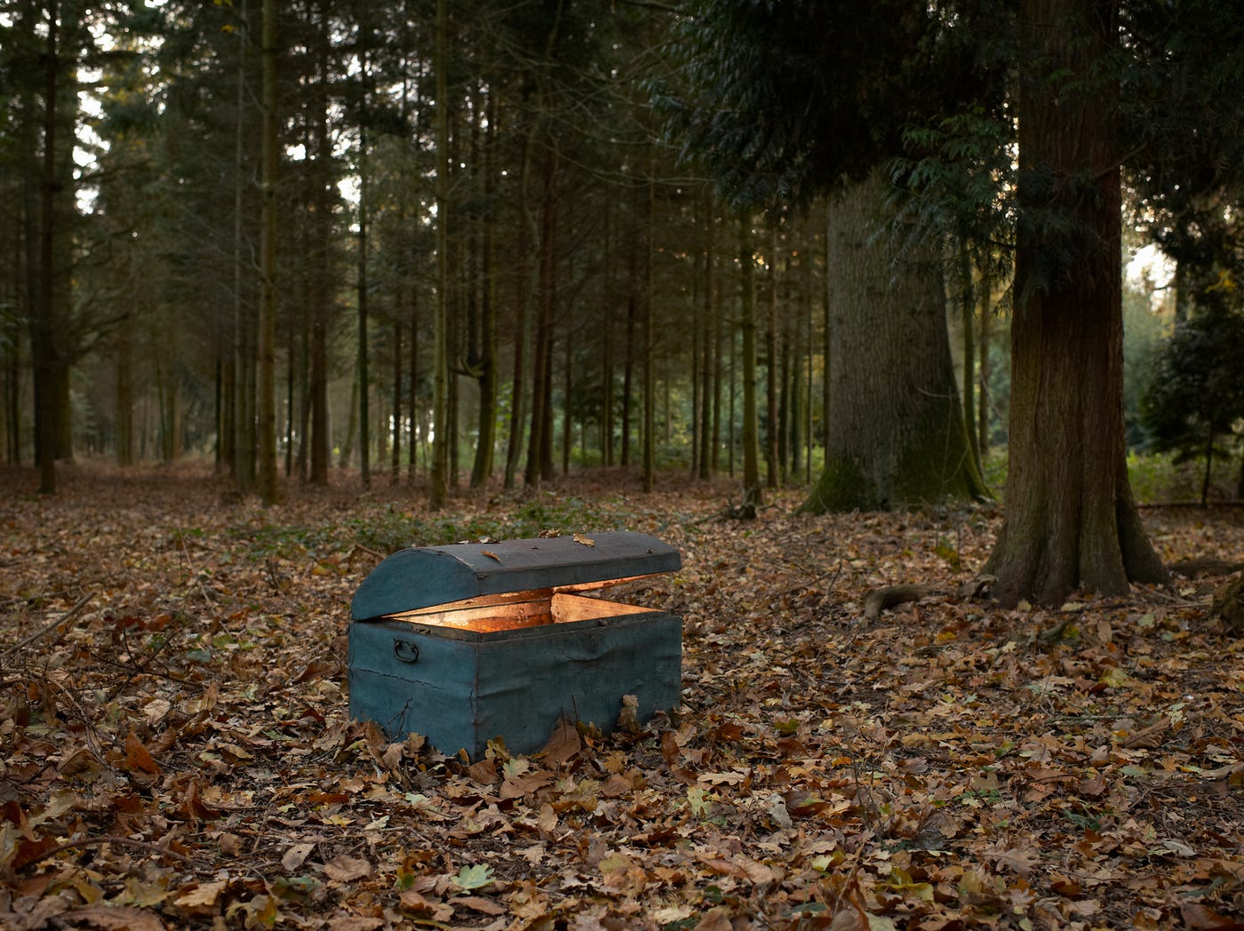 Yehuda Lave, Spiritual Advisor and Counselor : 'Son Of Hamas': 'The ...