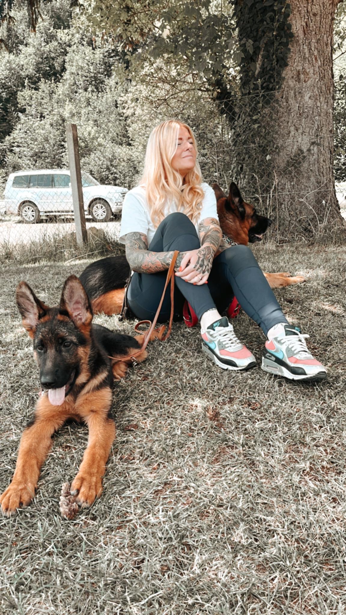 Fierce Dogs Dogtrainer