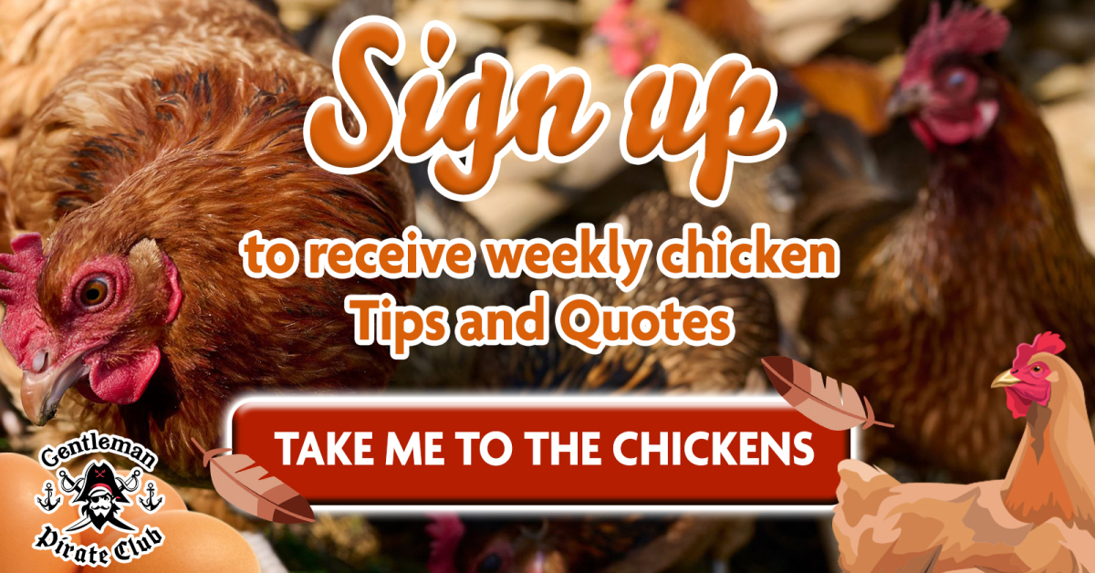 Weekly Chicken Tips and Quotes!