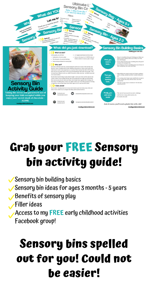 Sensory Bin Guide